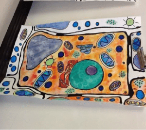 25 Creative Plant Cell Project Ideas - Theresa Reviews