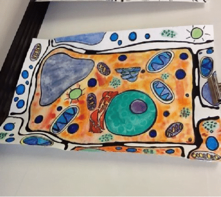 25 Creative Plant Cell Project Ideas - Theresa Reviews