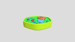 25 Creative Plant Cell Project Ideas - Theresa Reviews