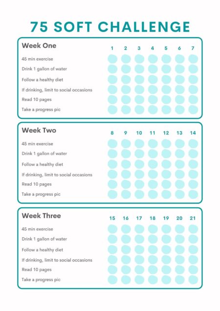 The 75 Soft Challenge: What is it and How to Acheive? - Theresa Reviews