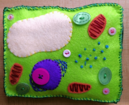 25 Creative Plant Cell Project Ideas - Theresa Reviews
