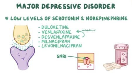 Understanding the Classification of Wellbutrin: SSRI, SNRI, or NDRI ...