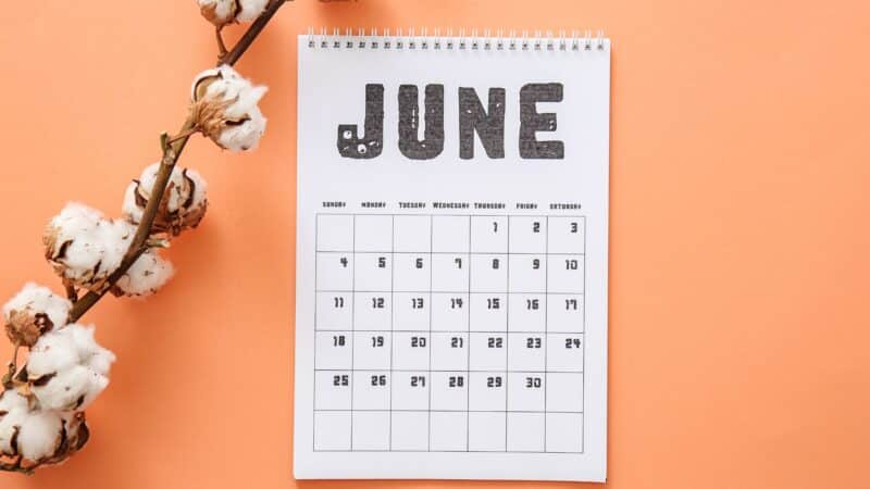 Exploring the Calendar: 12 Months in English - Theresa Reviews