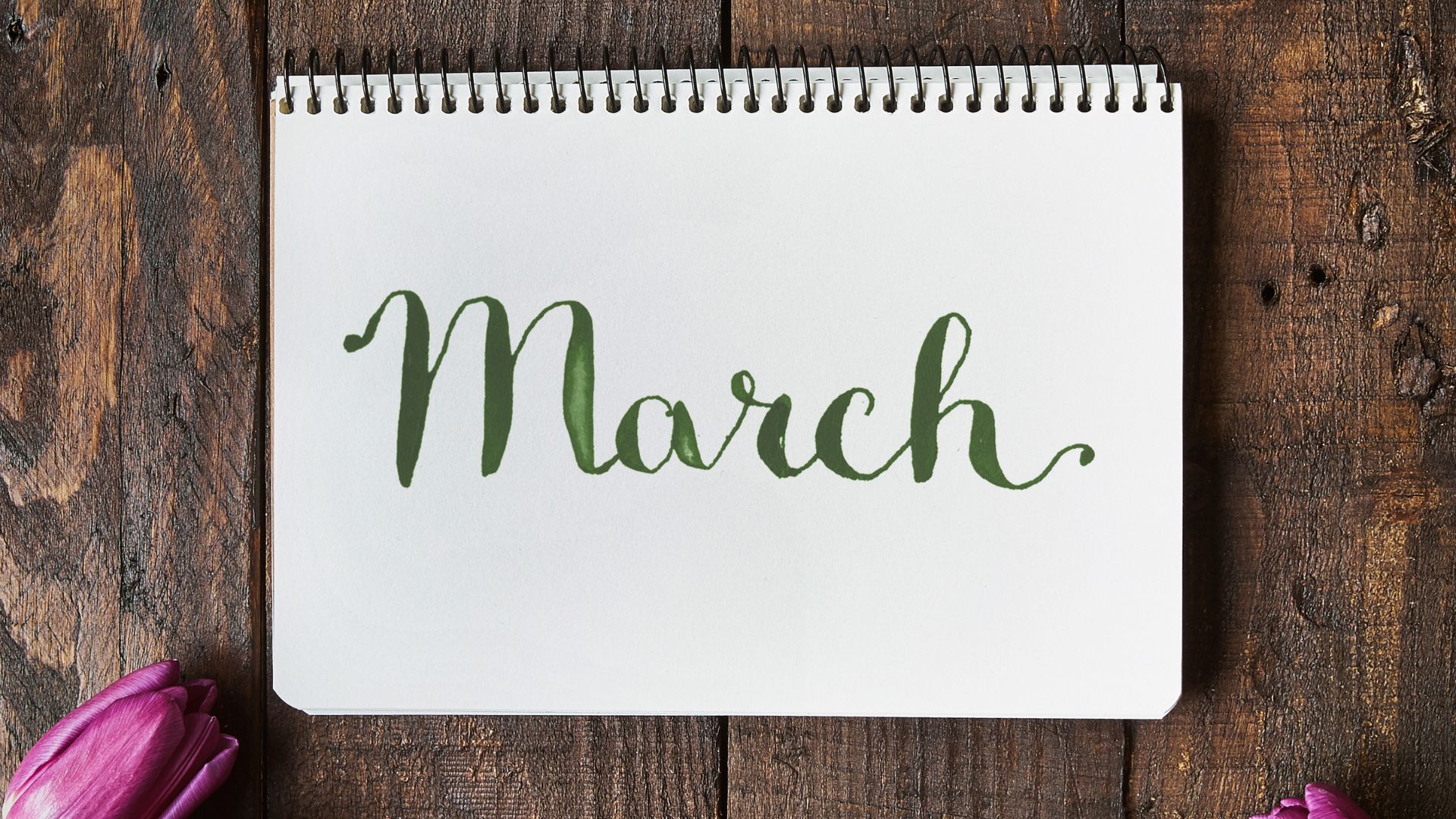 Exploring the Calendar: 12 Months in English - Theresa Reviews