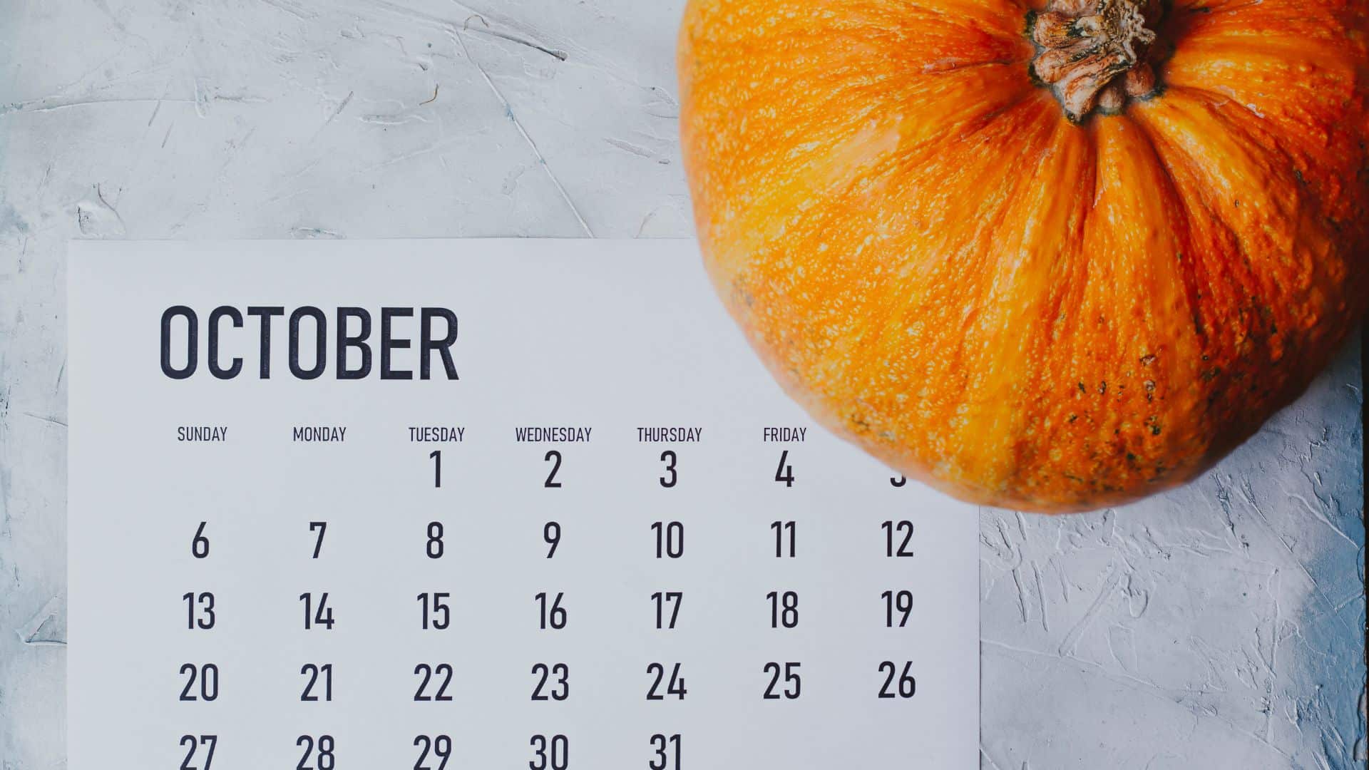 Exploring the Calendar: 12 Months in English - Theresa Reviews